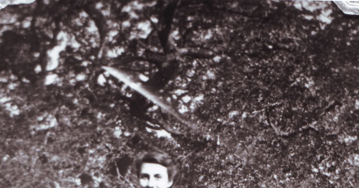 Excellence in Creative Practice - Brisbane Girls Grammar School